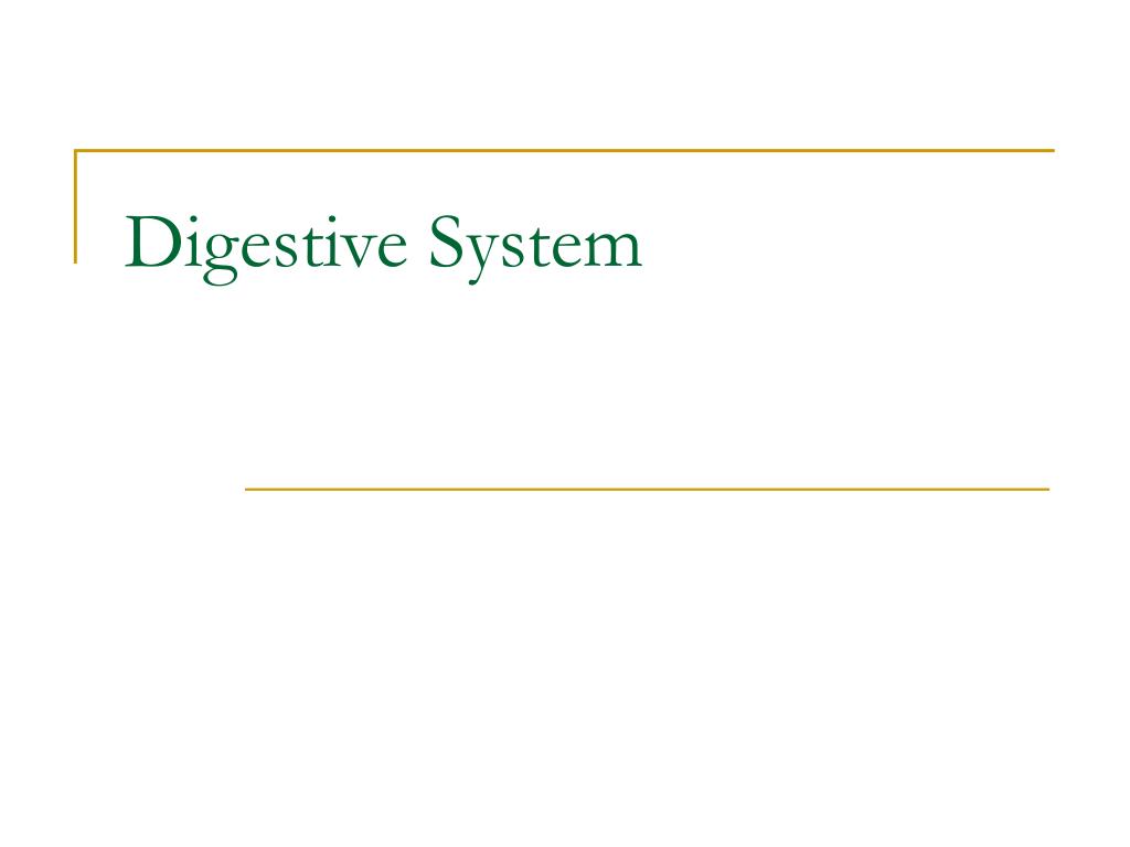 PPT - Digestive System PowerPoint Presentation, free download - ID:1112998