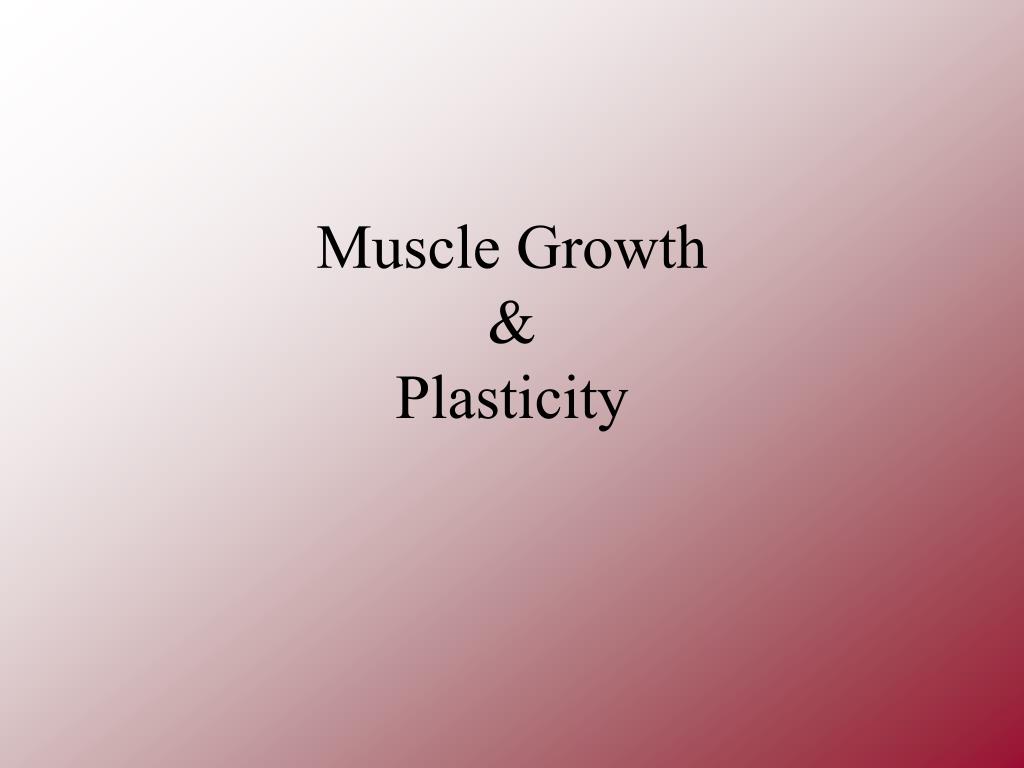 PPT - Muscle Growth & Plasticity PowerPoint Presentation, free download ...