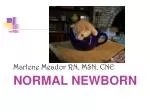 PPT - Normal Newborn PowerPoint Presentation, free download - ID:775168