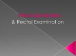 PPT - CEPHALO-PELVIC DISPROPORTION PowerPoint Presentation, free ...