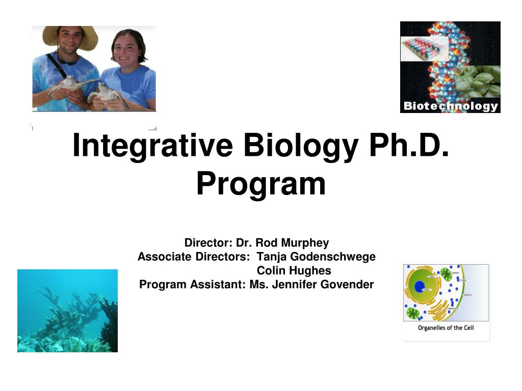 PPT - Integrative Biology Ph.D. Program PowerPoint Presentation, free ...