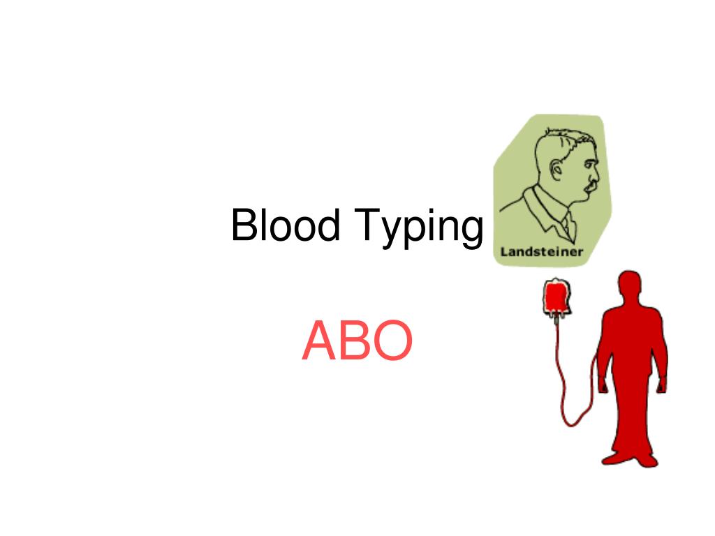 PPT - Blood Typing PowerPoint Presentation, free download - ID:1120808
