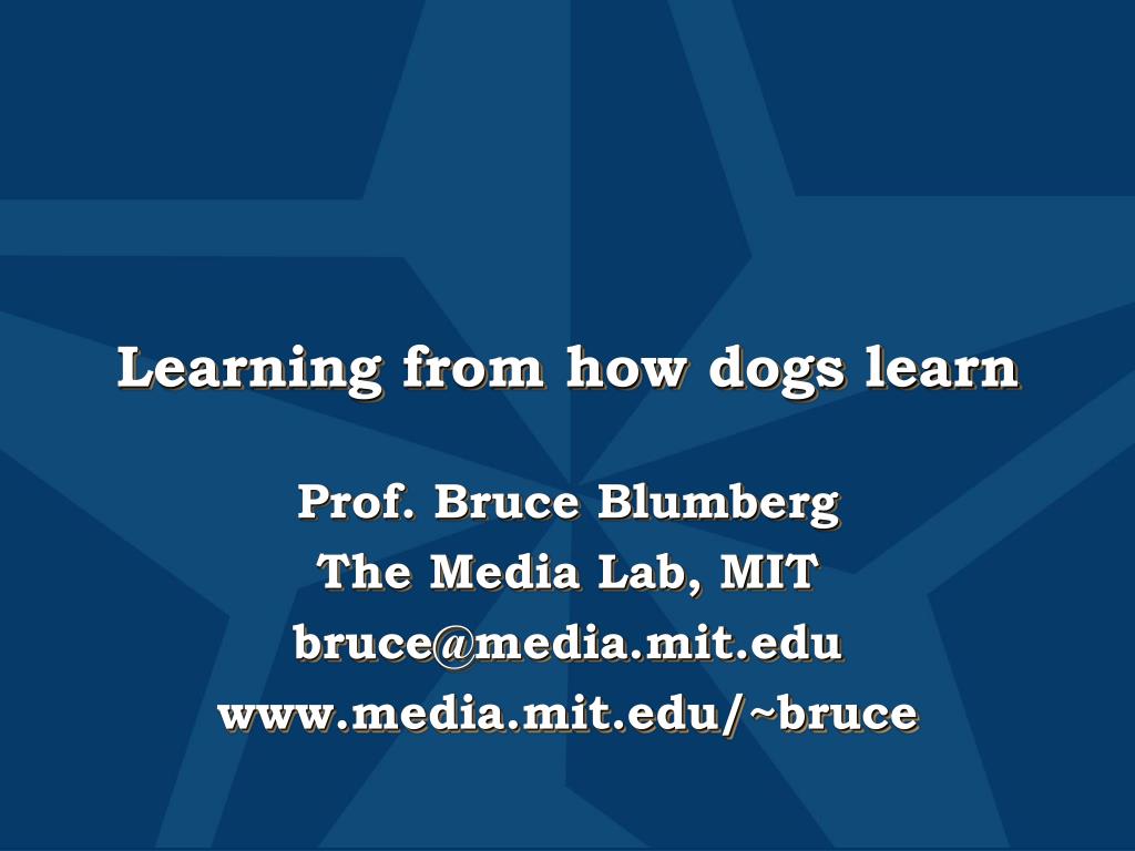 PPT - Learning from how dogs learn PowerPoint Presentation, free ...
