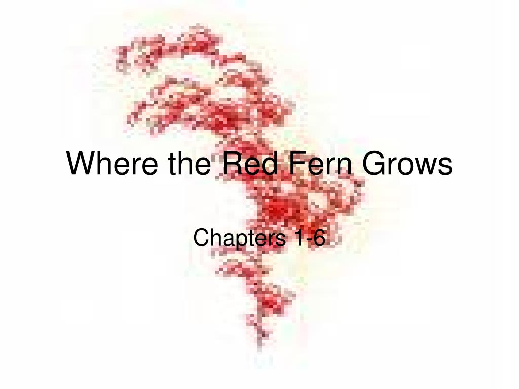 PPT - Where the Red Fern Grows PowerPoint Presentation, free download ...
