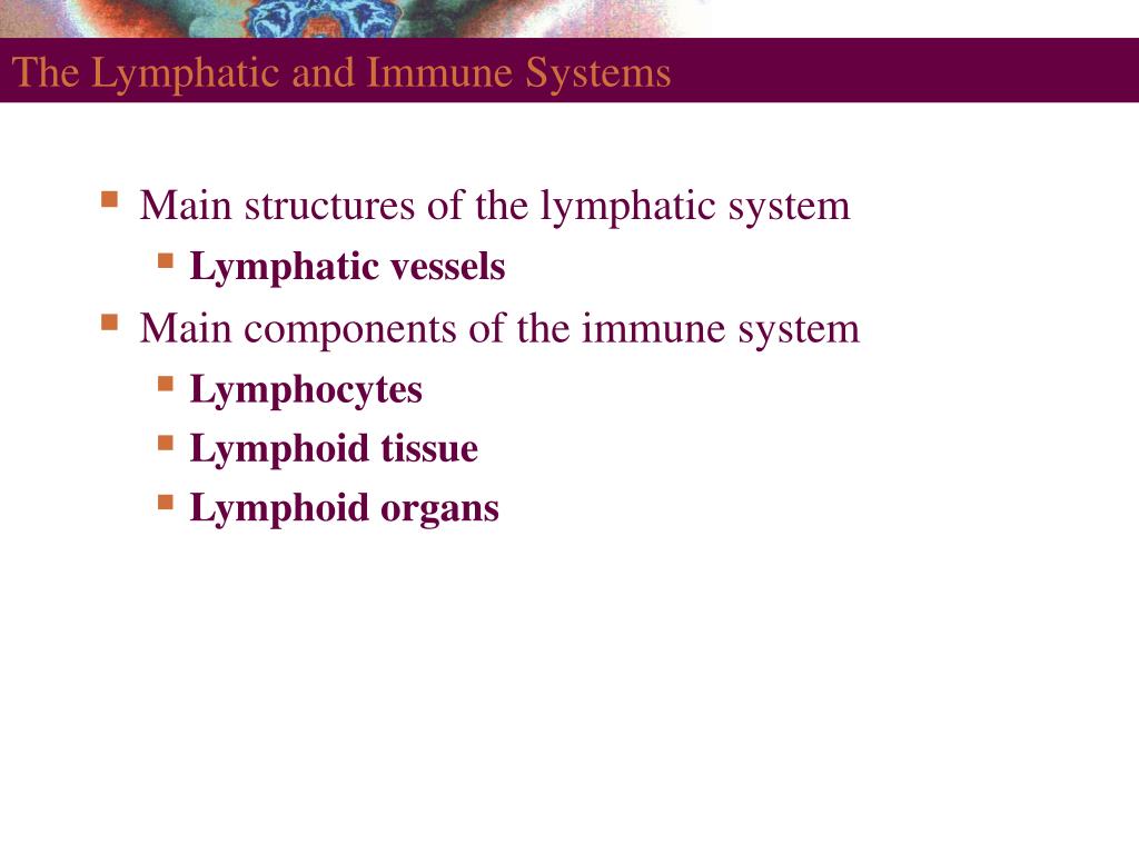 PPT - The Lymphatic and Immune Systems PowerPoint Presentation, free ...
