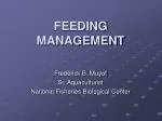 PPT - FEEDING MANAGEMENT OF DAIRY ANIMALS PowerPoint Presentation, free ...