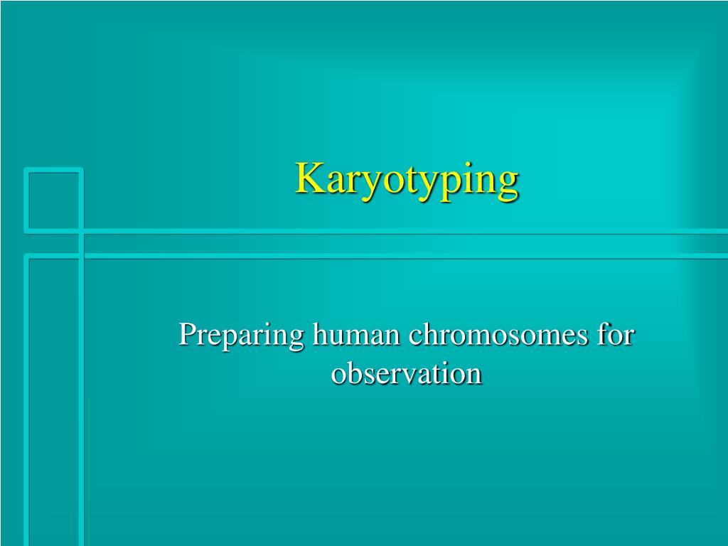 PPT - Karyotyping PowerPoint Presentation, free download - ID:1130834