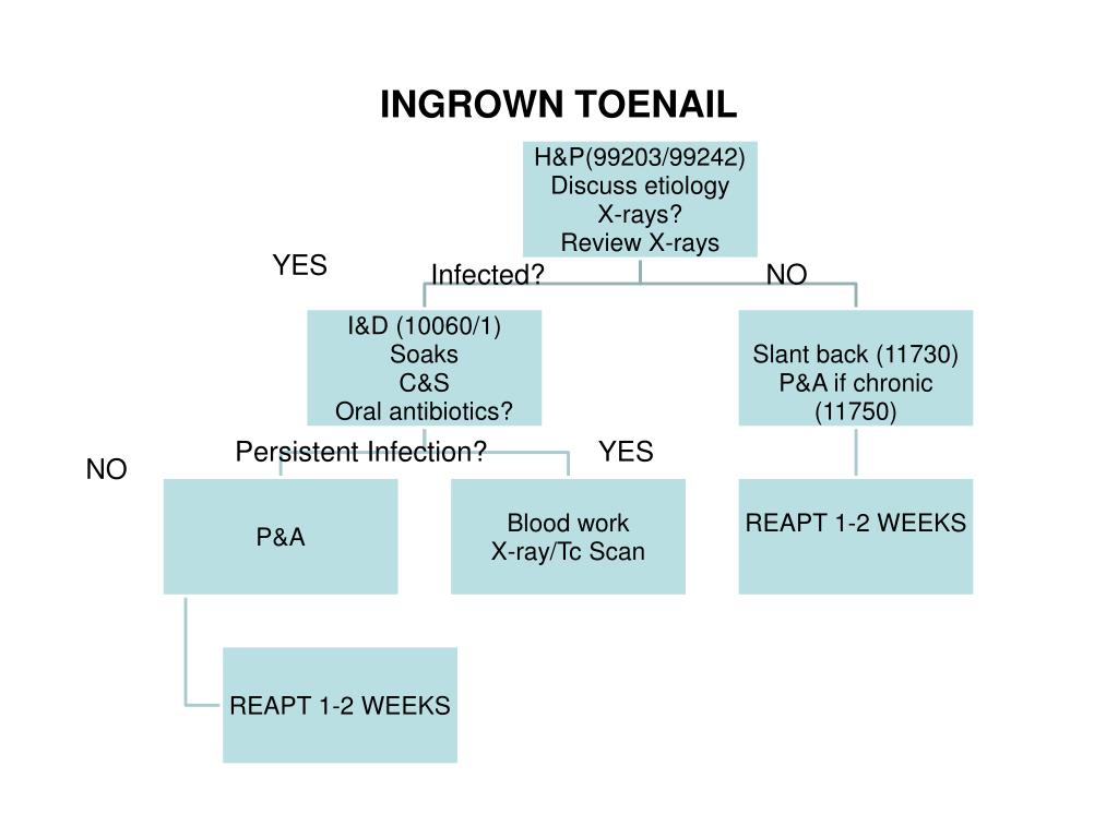 PPT - INGROWN TOENAIL PowerPoint Presentation, free download - ID:1130864