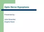 PPT - CONGENITAL OPTIC NERVE ANOMALIES PowerPoint Presentation, free ...