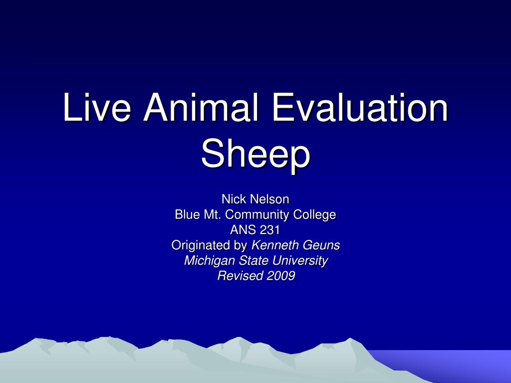 PPT - Live Animal Evaluation Sheep PowerPoint Presentation, free ...