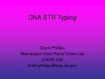PPT - Y Chromosome DNA Variation Monitored by SNP and STR Analysis ...