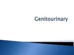 PPT - Pediatric Genitourinary Disorders PowerPoint Presentation, free ...