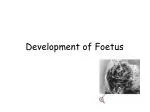 PPT - Development of Foetus PowerPoint Presentation, free download - ID ...