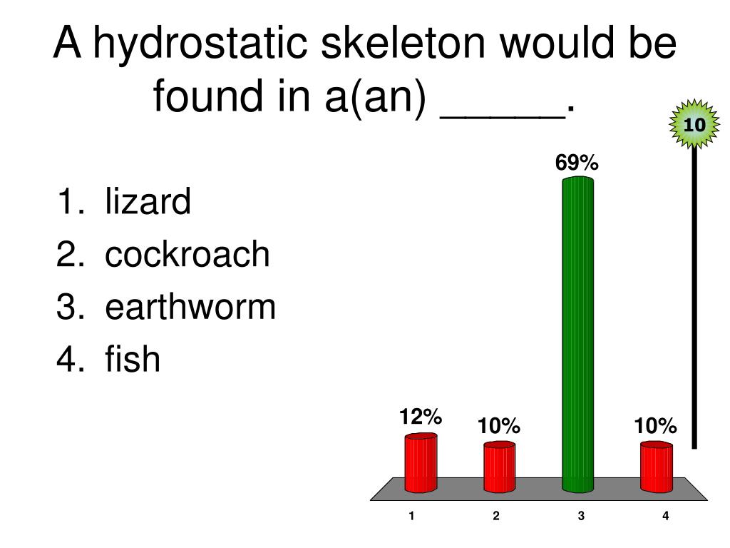 PPT - Types of Skeletons: Hydrostatic, Endoskeleton, Exoskeleton" A ...