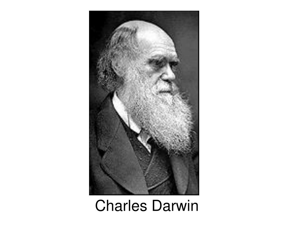 PPT - Charles Darwin PowerPoint Presentation, free download - ID:1139552