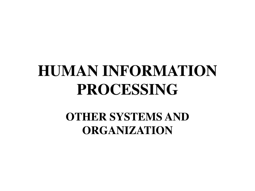 PPT - HUMAN INFORMATION PROCESSING PowerPoint Presentation, free ...