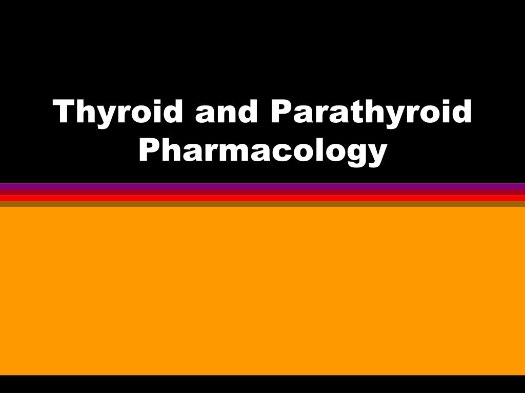 PPT - Thyroid and Parathyroid Pharmacology PowerPoint Presentation ...