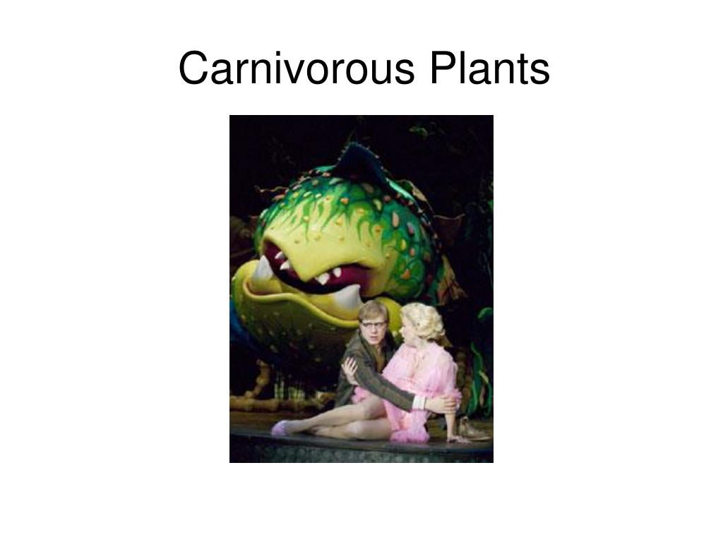PPT - Carnivorous Plants PowerPoint Presentation, free download - ID ...