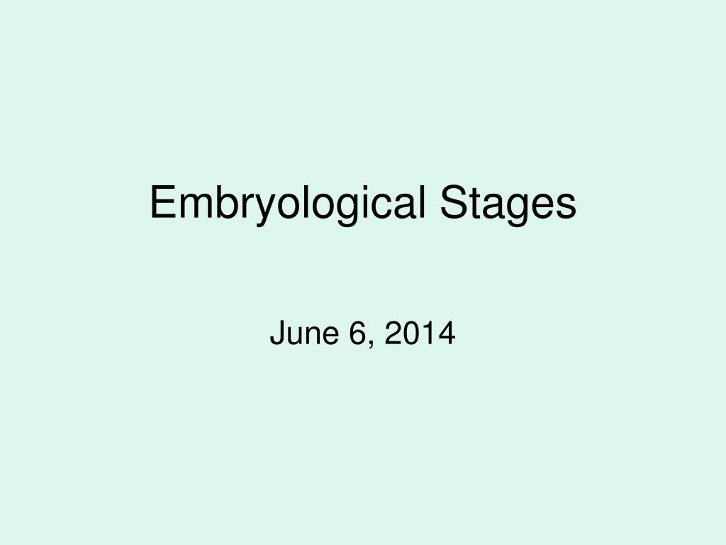 PPT - Embryological Stages PowerPoint Presentation, free download - ID:1144986