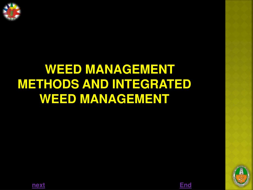 PPT - WEED MANAGEMENT METHODS AND INTEGRATED WEED MANAGEMENT PowerPoint ...