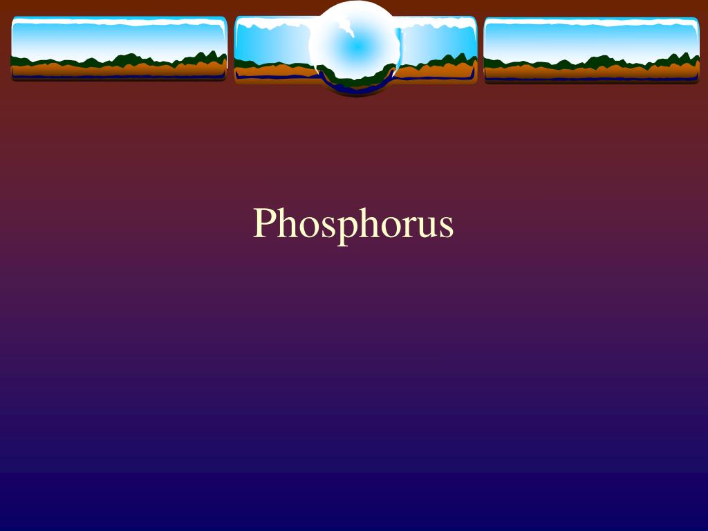 PPT - Phosphorus PowerPoint Presentation, free download - ID:1147942