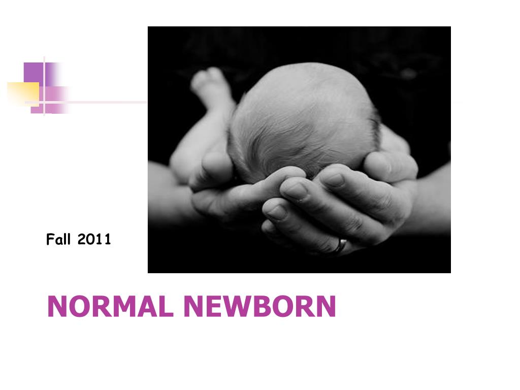 PPT - Normal Newborn PowerPoint Presentation, free download - ID:1150595
