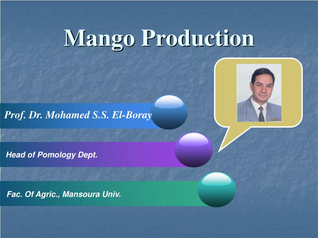 PPT - Mango Production PowerPoint Presentation, free download - ID:1152879