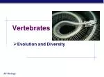 PPT - The 5 Classes of Vertebrates PowerPoint Presentation, free ...