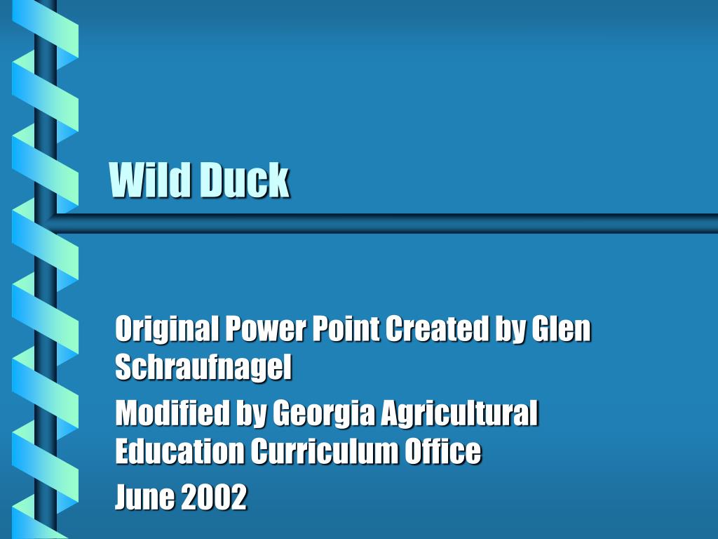 PPT - Wild Duck PowerPoint Presentation, free download - ID:1155994