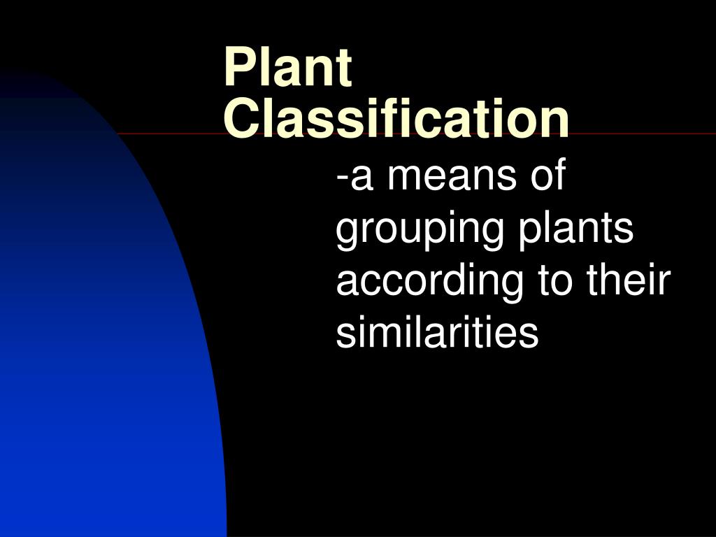 PPT - Plant Classification PowerPoint Presentation, free download - ID ...