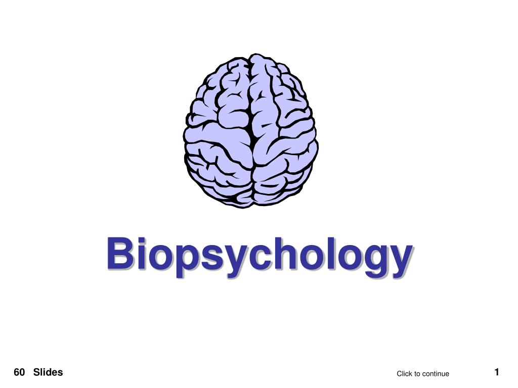PPT - Biopsychology PowerPoint Presentation, free download - ID:1156227