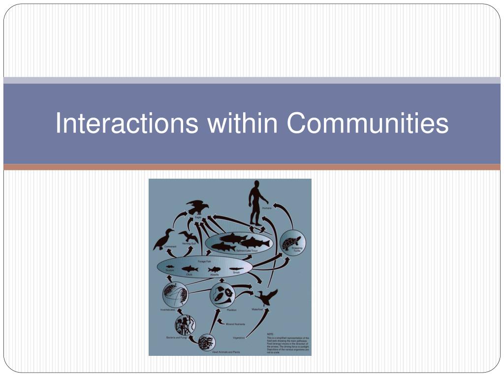 PPT - Interactions within Communities PowerPoint Presentation, free ...