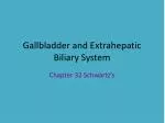 PPT - The Liver, Gallbladder and Biliary Tree PowerPoint Presentation ...