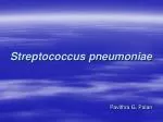 PPT - Streptococcus pneumoniae pneumococus PowerPoint Presentation ...