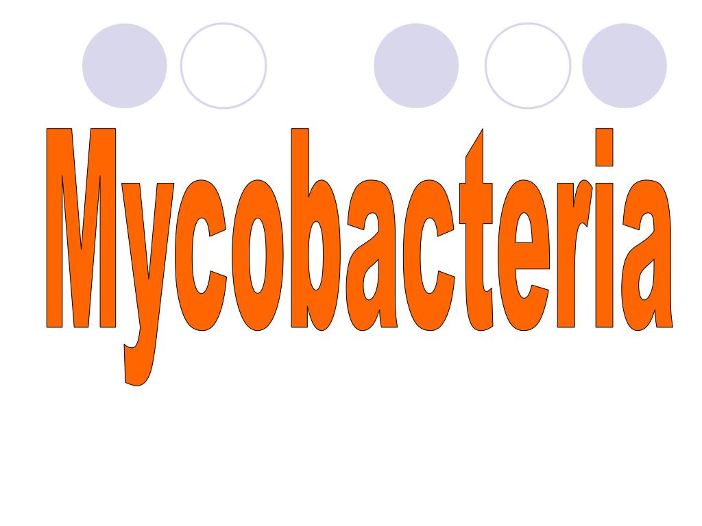 PPT - Mycobacteria PowerPoint Presentation, free download - ID:1160777