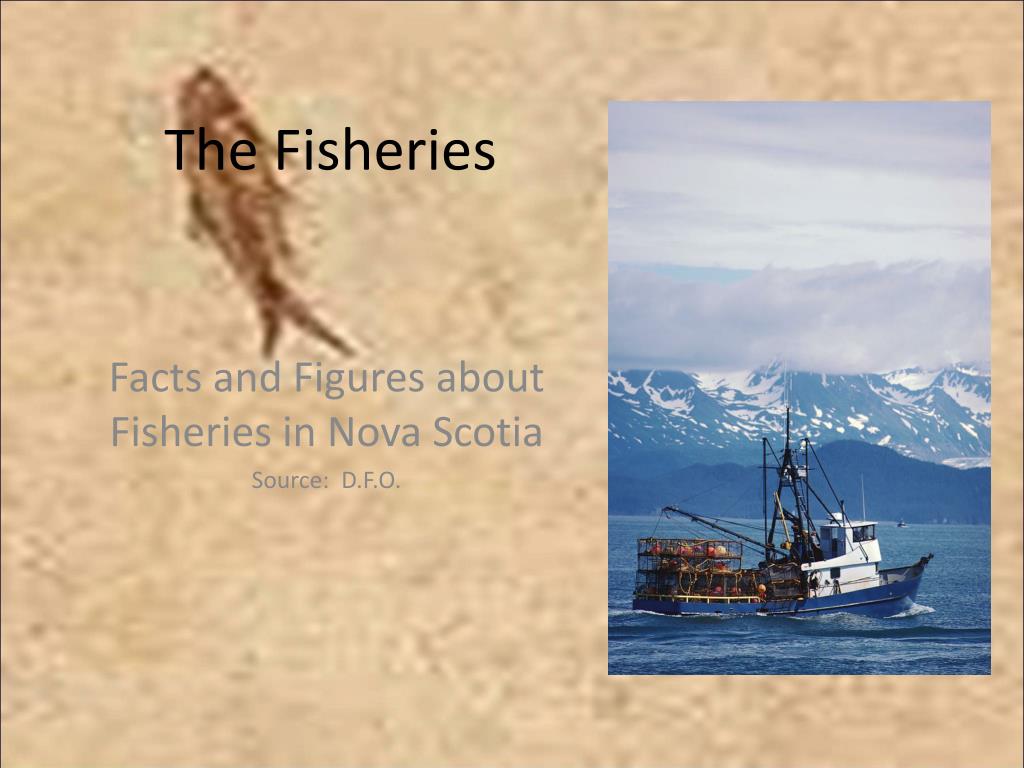 PPT - Fisheries in Nova Scotia: Facts and Figures PowerPoint ...