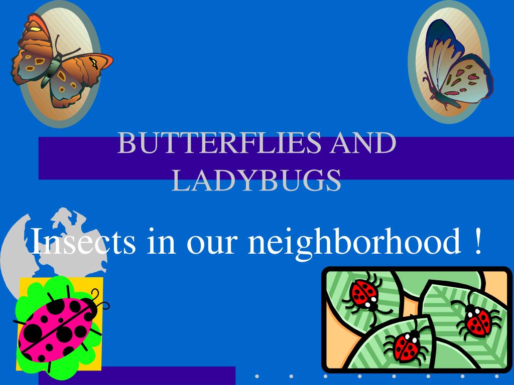 PPT - BUTTERFLIES AND LADYBUGS PowerPoint Presentation, free download ...