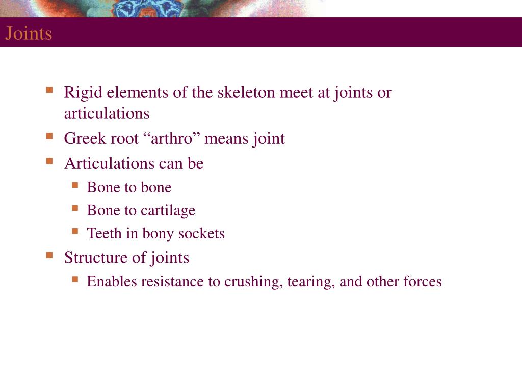 PPT - Joints PowerPoint Presentation, free download - ID:1164283