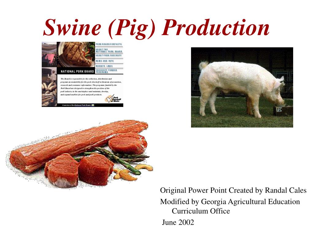 PPT - Swine (Pig) Production PowerPoint Presentation, free download ...