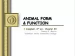 PPT - Basic Principles of Animal Form and Function PowerPoint ...