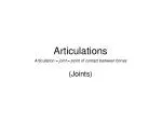 PPT - Articulations and Movement PowerPoint Presentation, free download ...