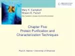 PPT - Techniques of Protein Purification PowerPoint Presentation, free ...