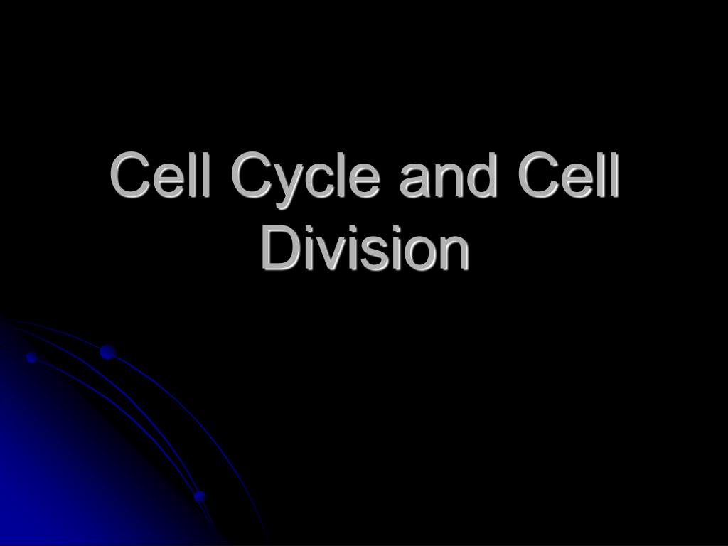 PPT - Cell Cycle and Cell Division PowerPoint Presentation, free ...
