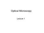 PPT - Optical Microscopy PowerPoint Presentation, free download - ID ...