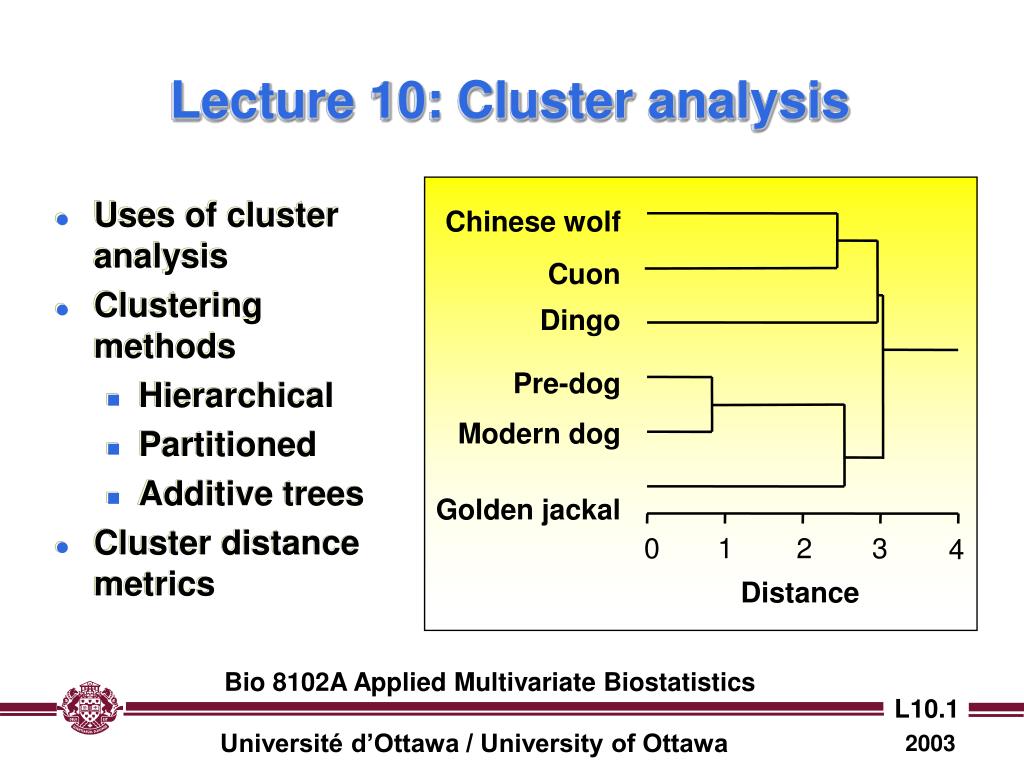 PPT - Lecture 10: Cluster analysis PowerPoint Presentation, free ...