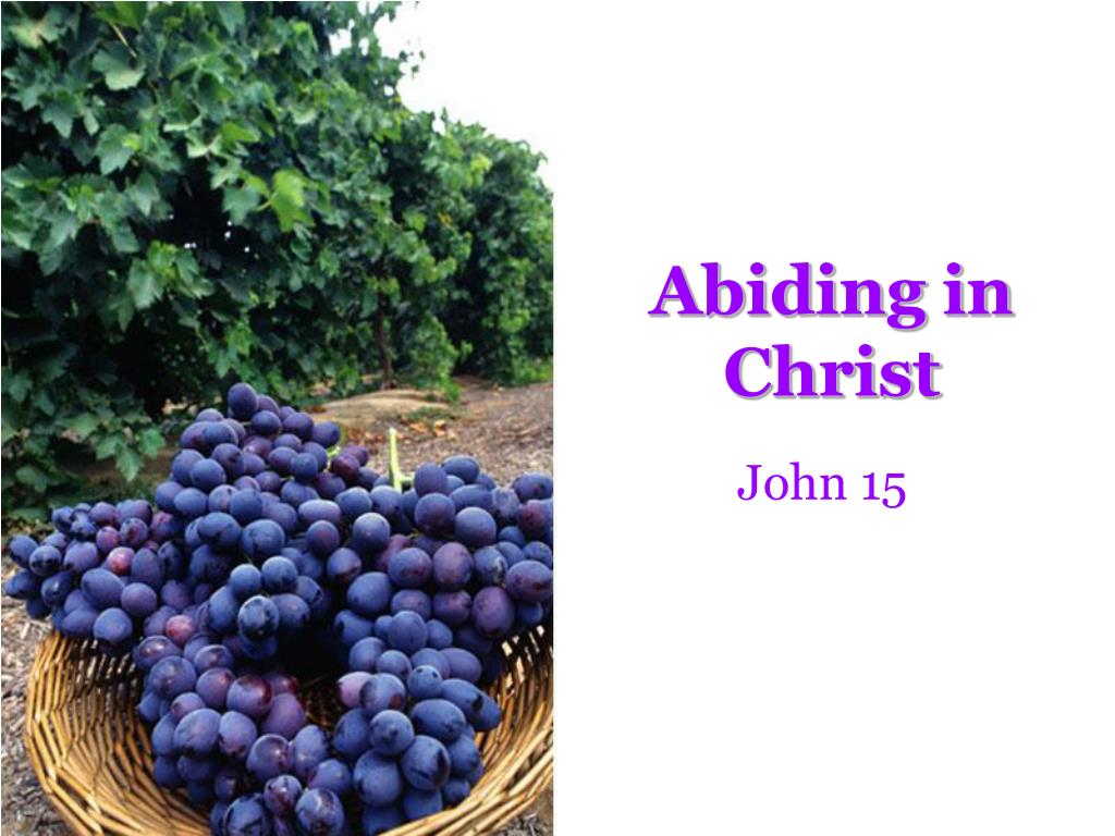 PPT - Abiding in Christ PowerPoint Presentation, free download - ID:1183285
