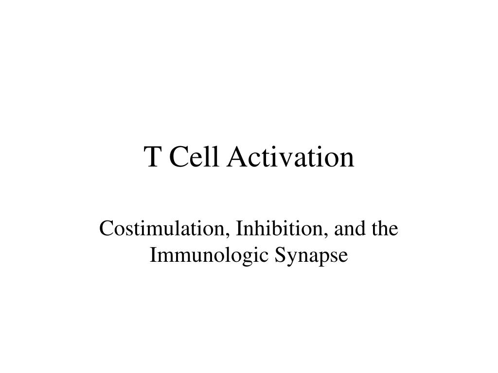PPT - T Cell Activation PowerPoint Presentation, free download - ID:1183522