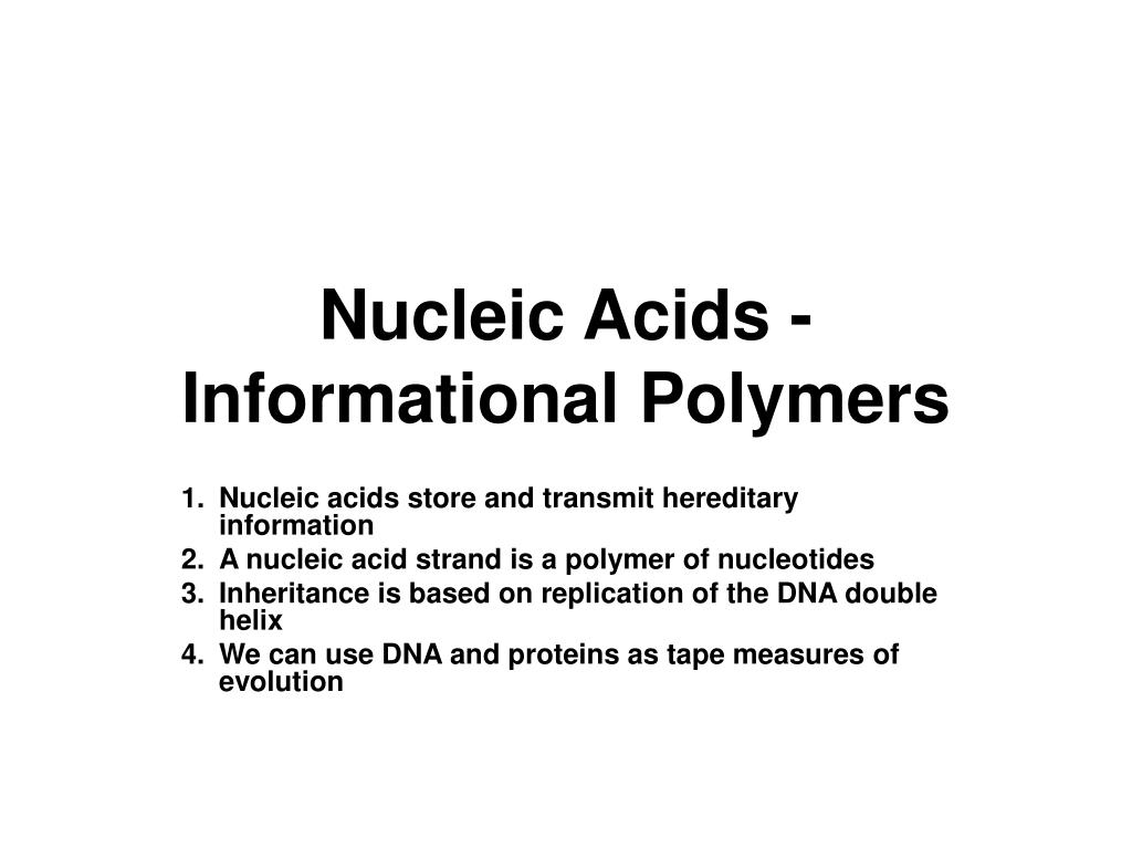PPT - Nucleic Acids - Informational Polymers PowerPoint Presentation ...
