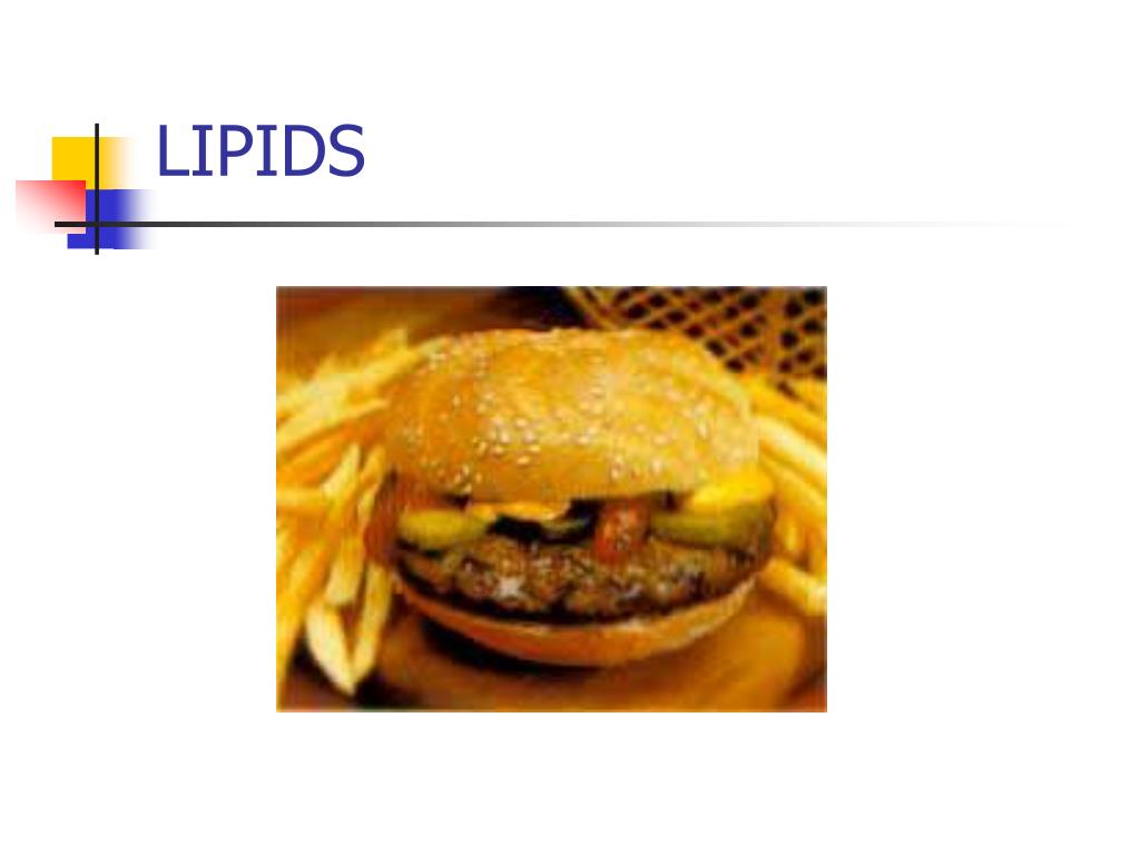 PPT - LIPIDS PowerPoint Presentation, free download - ID:1190137