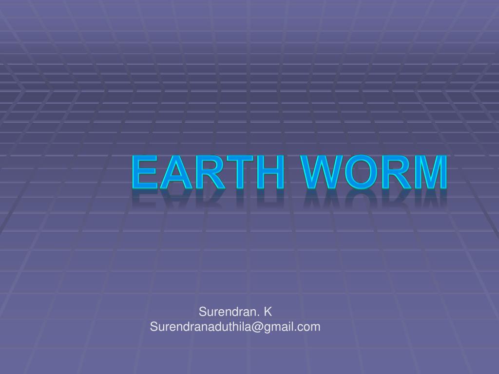 PPT - EARTH WORM PowerPoint Presentation, free download - ID:1192682
